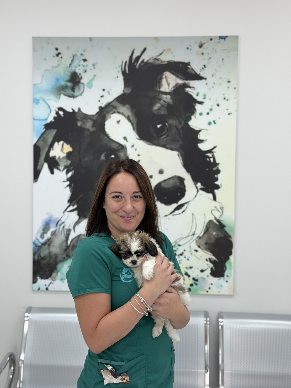 VetHug - Πρότυπη Κτηνιατρική Φροντίδα - Επικοινωνια